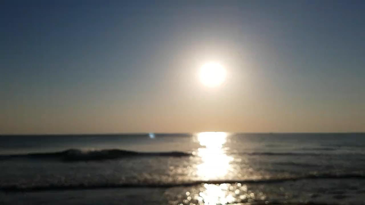 Wisdom Oceans